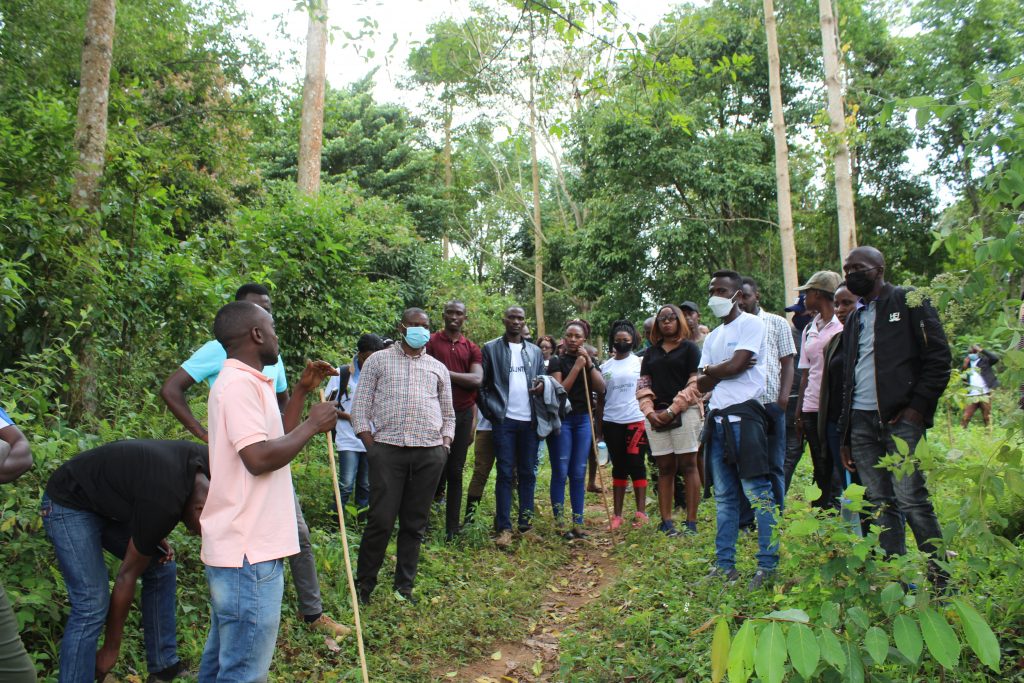 Carbon Compensation – SENU